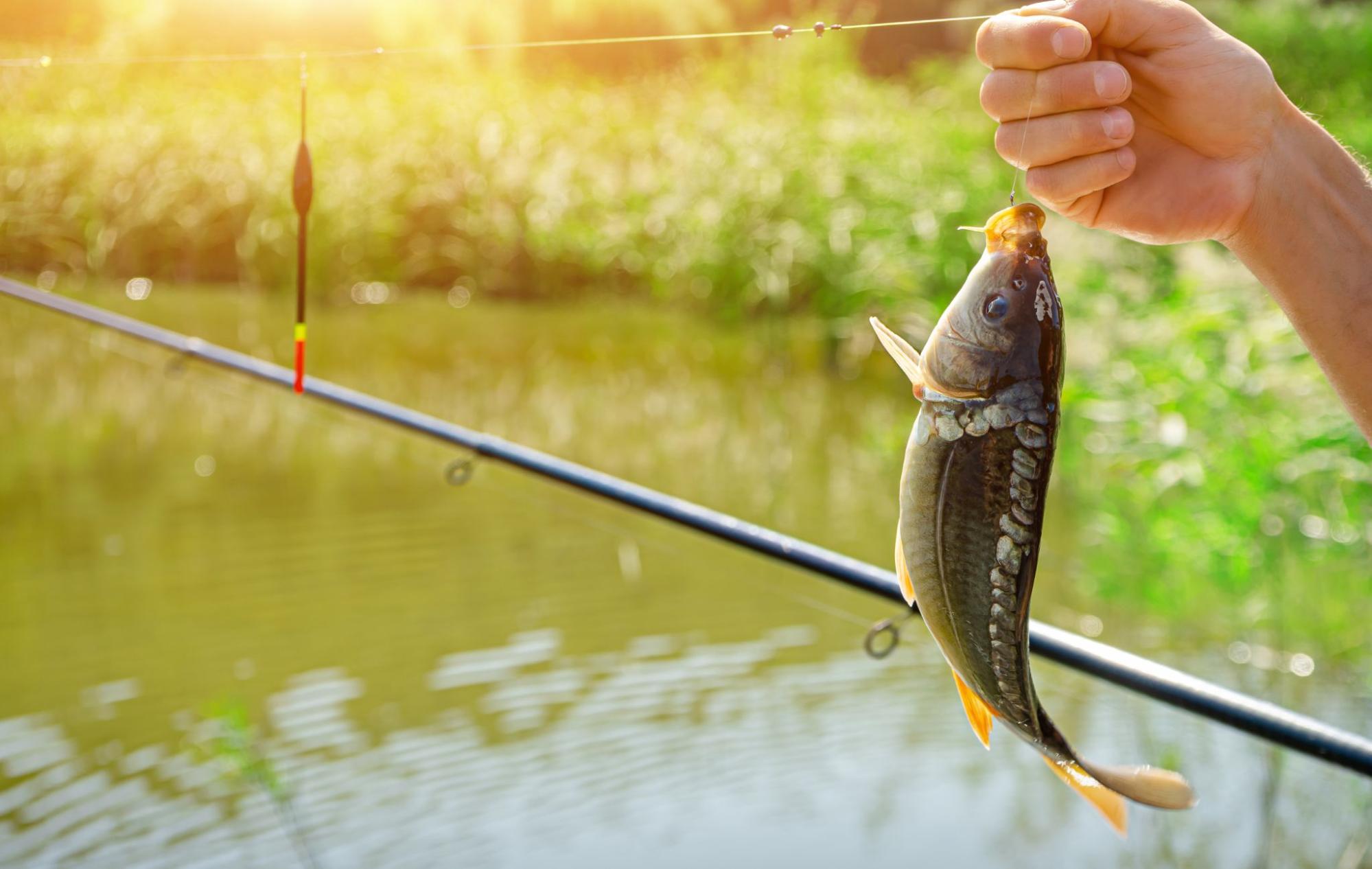 What Is Snag Fishing The Fishing Essentials What Is Snag Fishing The Fishing Essentials